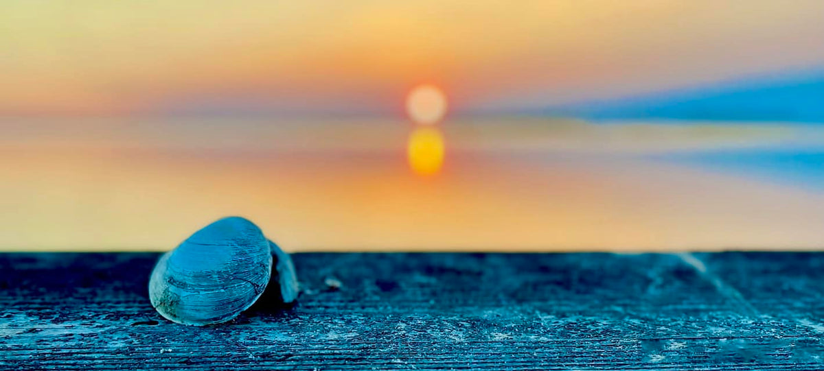 Clam Sunset – Life On The Lens